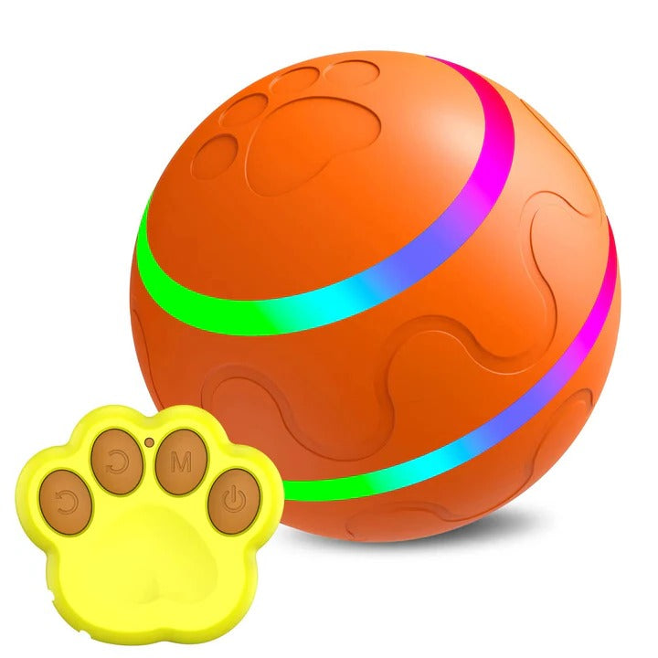 Interactive Pet Ball Toy with Motion Feature – Obsetic